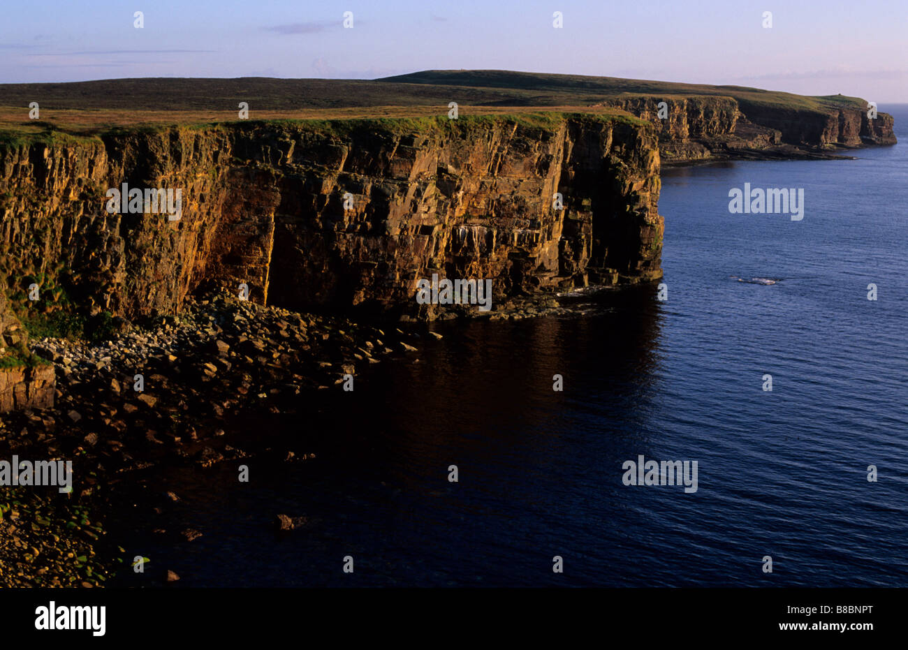 Mull head orkney hi-res stock photography and images - Alamy
