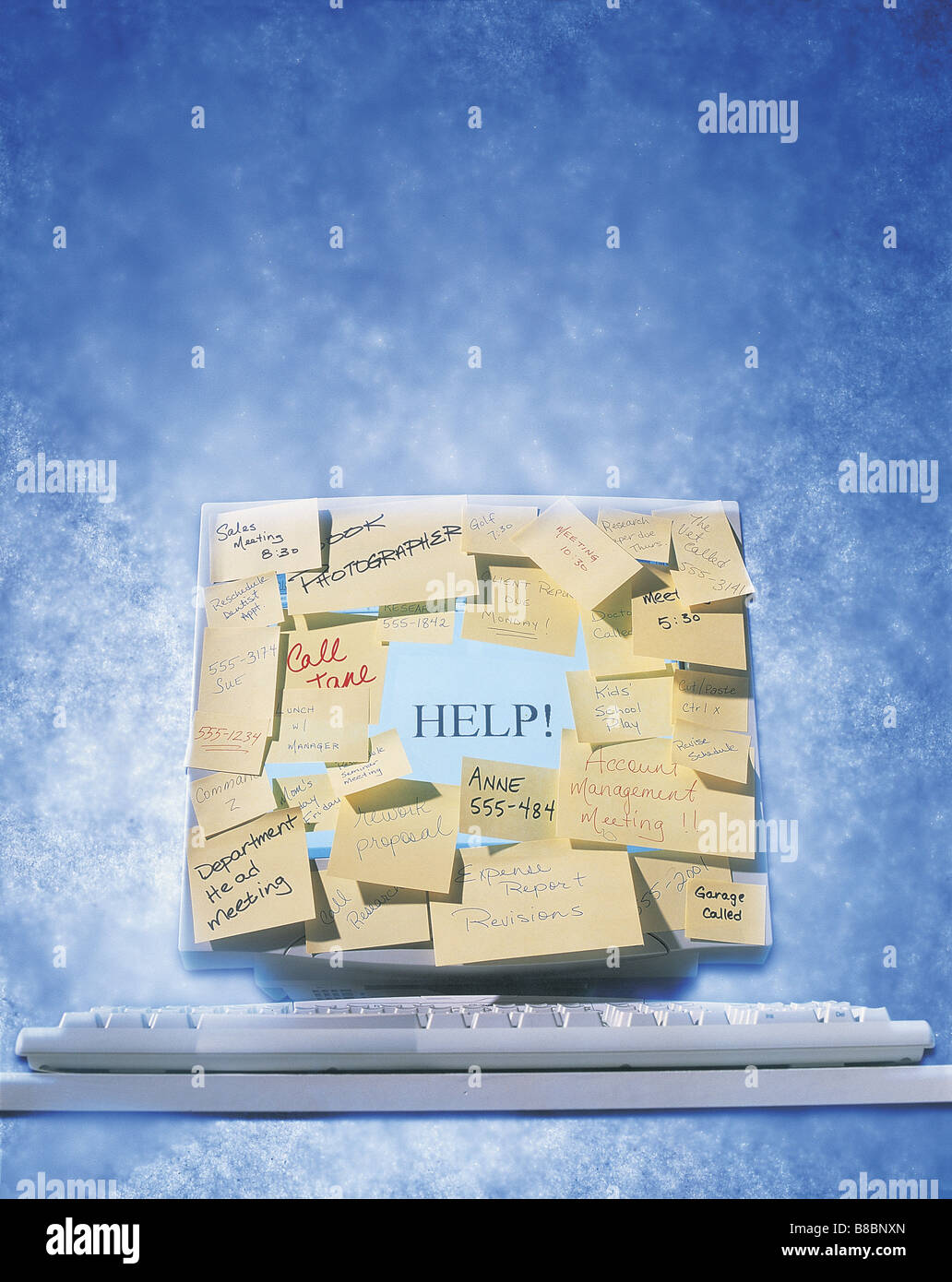 FL4068, Steve Lawrence; Computer Monitor Covered Post-It Notes, Word ...