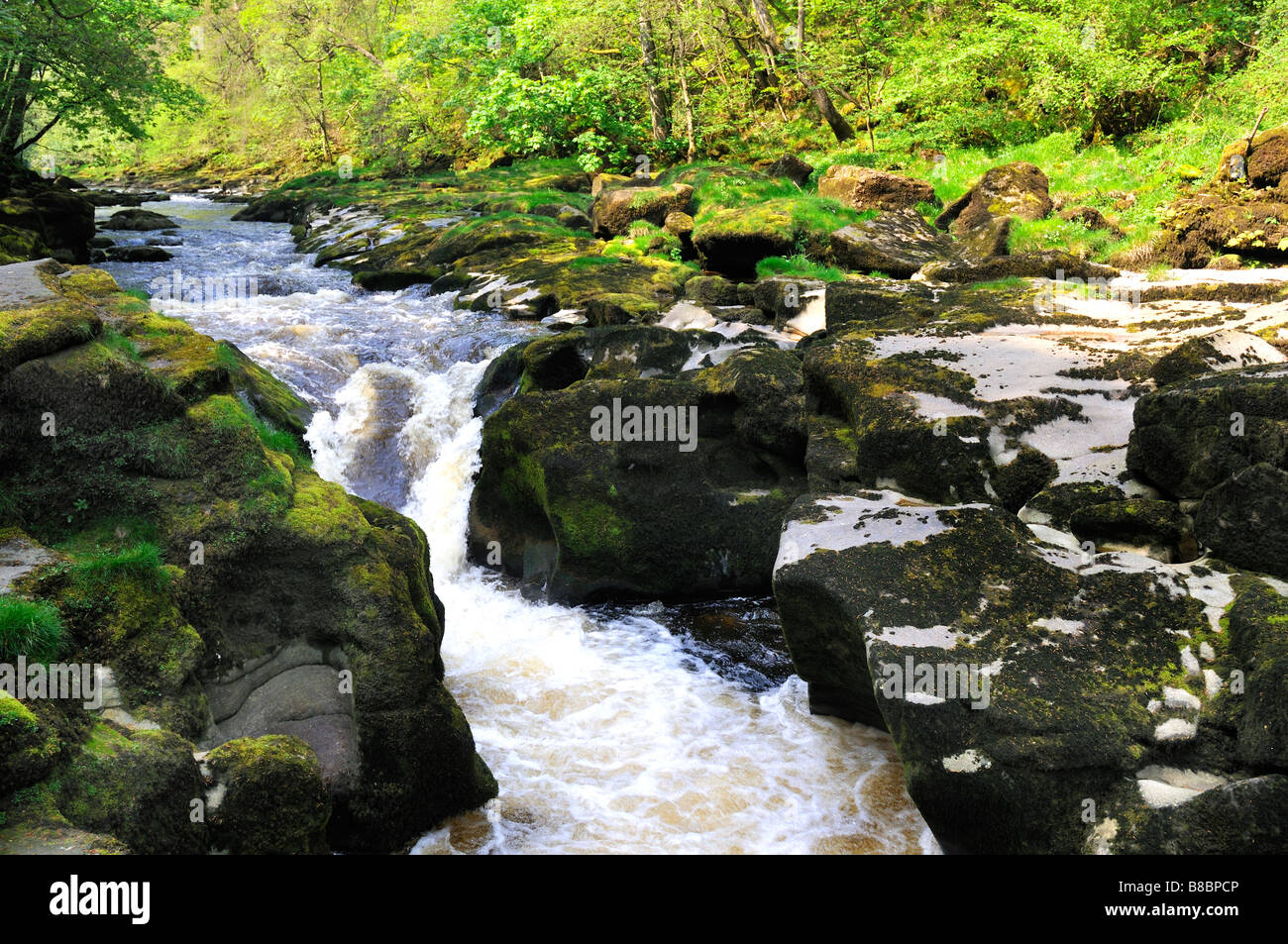 The Deadly but Deceptively Beautiful Strid Waterfall in the valley of ...