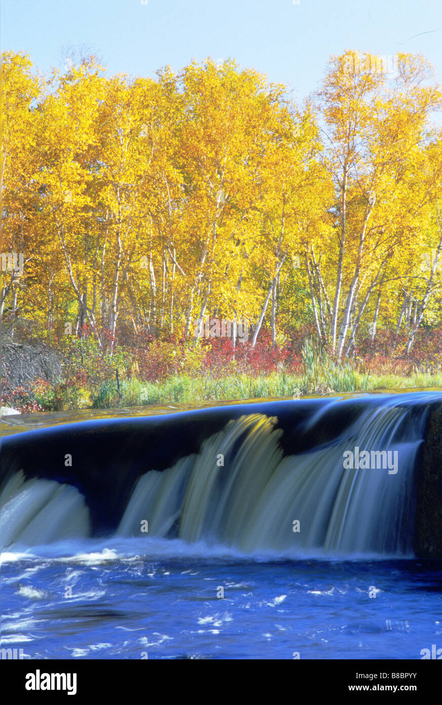 Fall Trees, Rainbow Falls, Whiteshell Provincial Park, Manitoba Stock ...