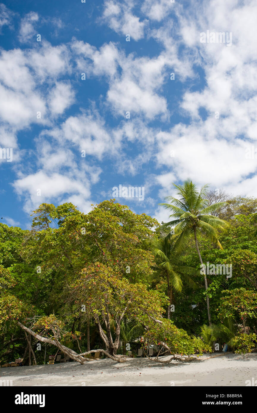 Quepos costa rica hi-res stock photography and images - Alamy