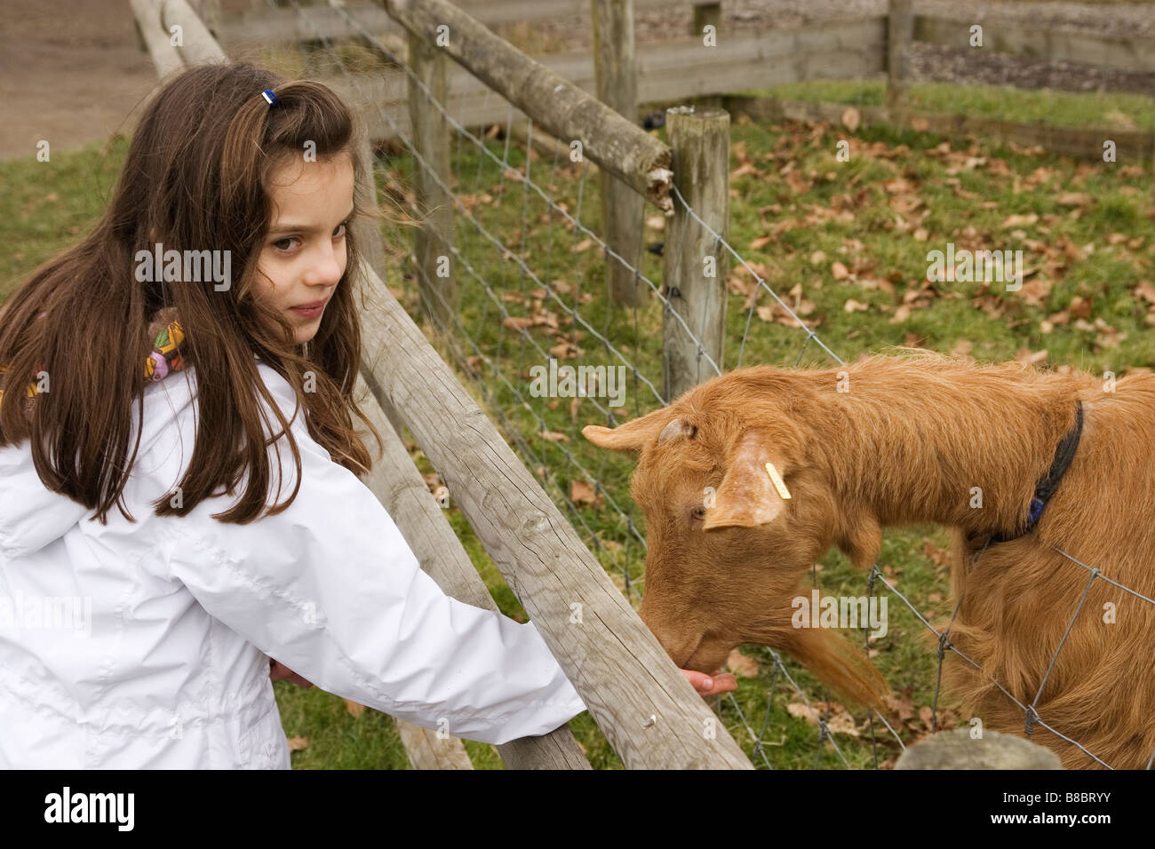 Girl With Brown Goat High Resolution Stock Photography and Images - Alamy