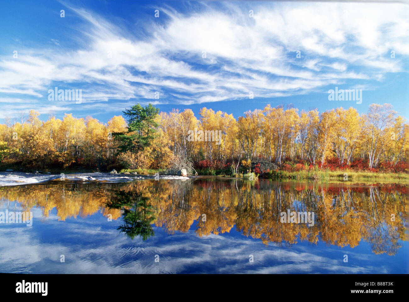 Fall Trees Whiteshell River, Whiteshell Provincial Park, Manitoba Stock ...