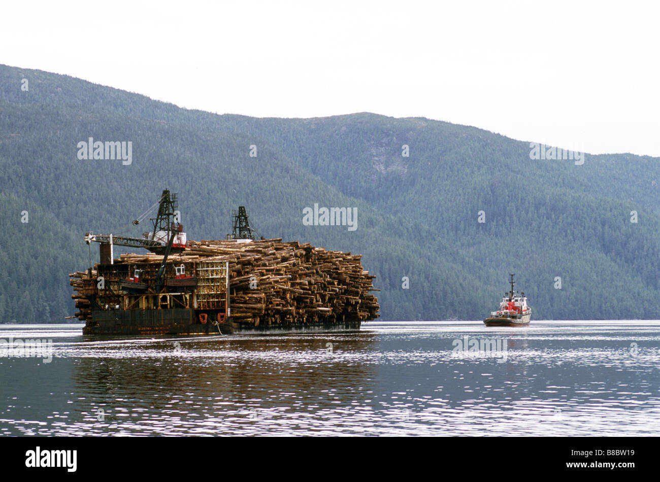 Tug-Boat Barge full Lumber, near Princess Royal Island, North Coast ...