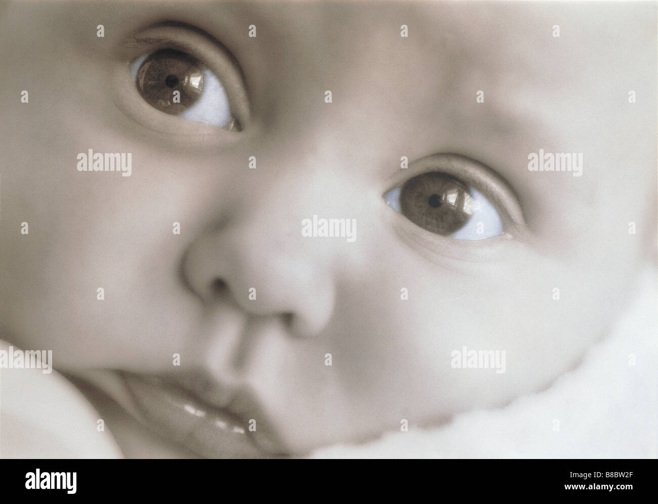 Body vulnerable hi-res stock photography and images - Alamy