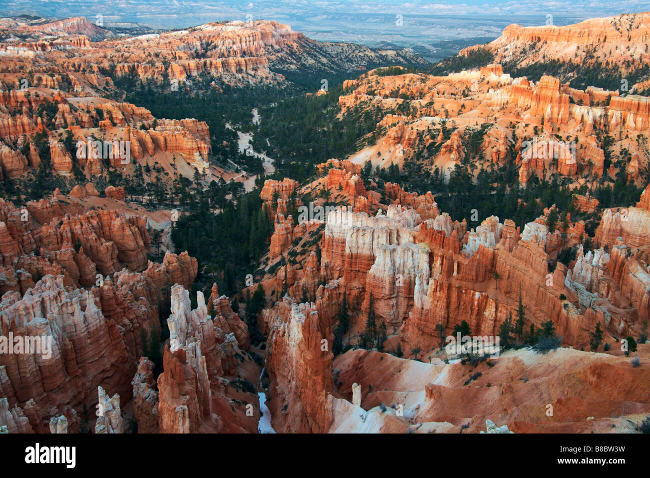 Top view on bryce hi-res stock photography and images - Alamy