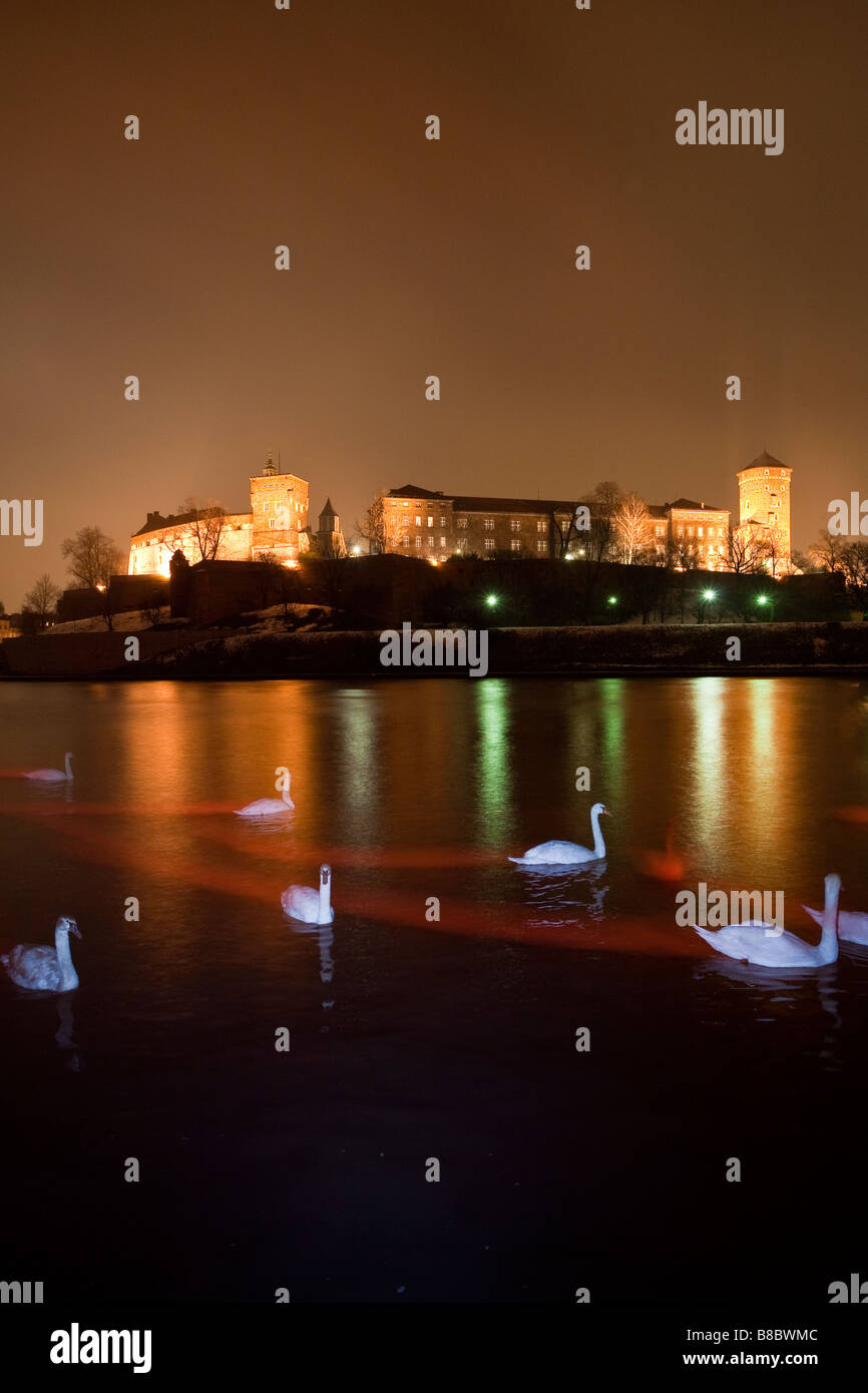 Swans on River Wista at night with Wawel castle and hill in background ...