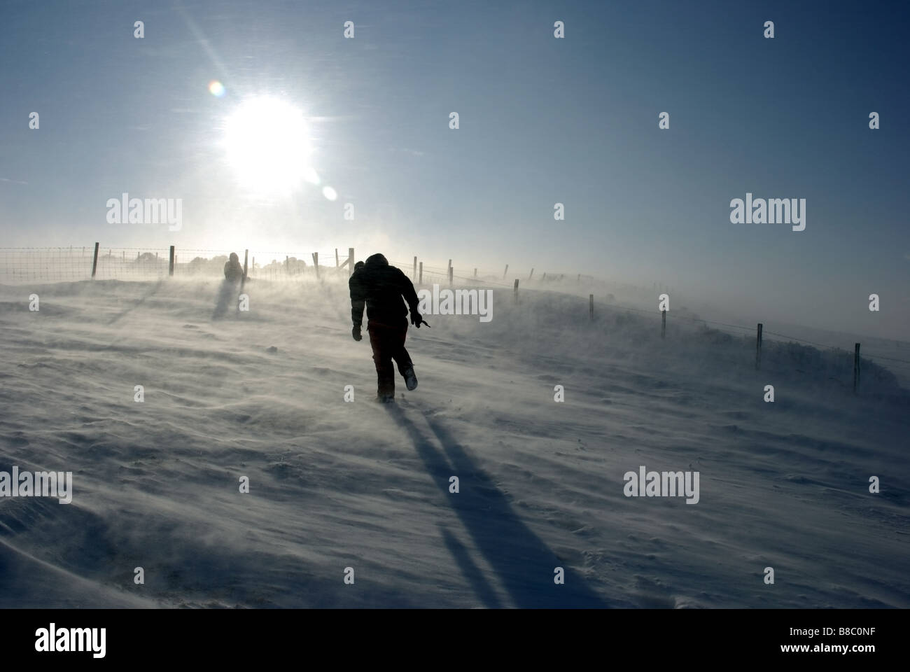 A person walking head on into a blizzard Stock Photo - Alamy