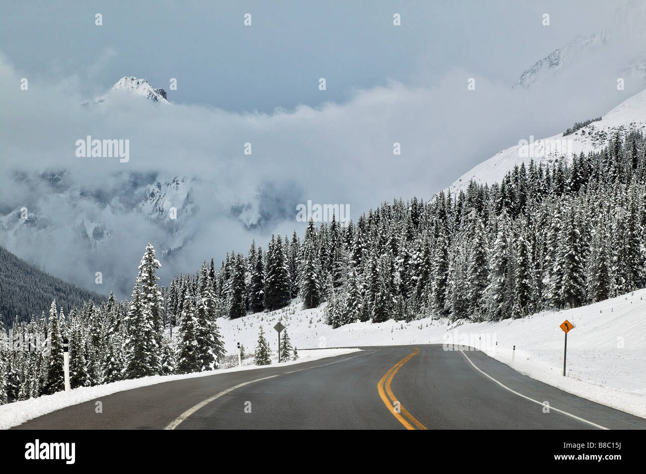 Peter lougheed hi-res stock photography and images - Alamy