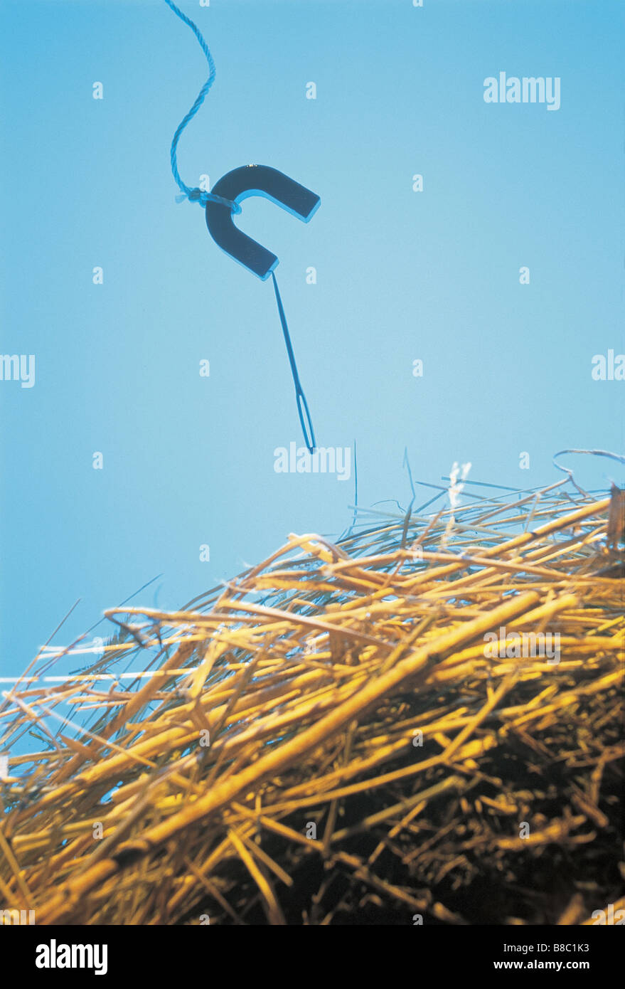 FL5266, Will Datene; Finding Needle Haystack Magnet Stock Photo - Alamy
