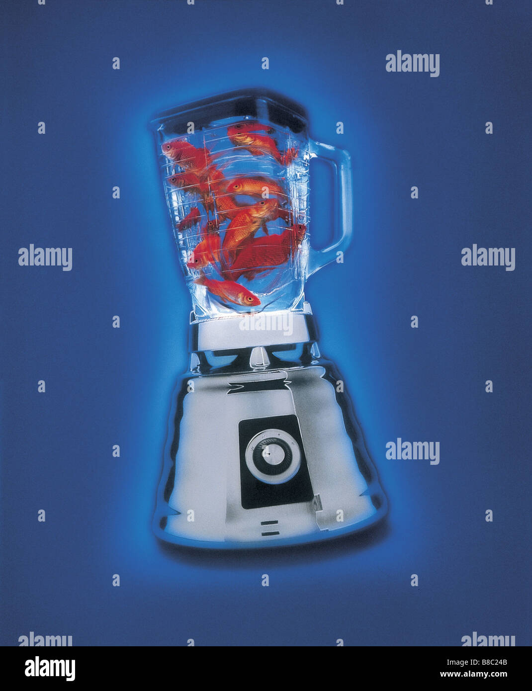 FL5311, Jim Tinios; Goldfish Blender, Blue Background Stock Photo - Alamy