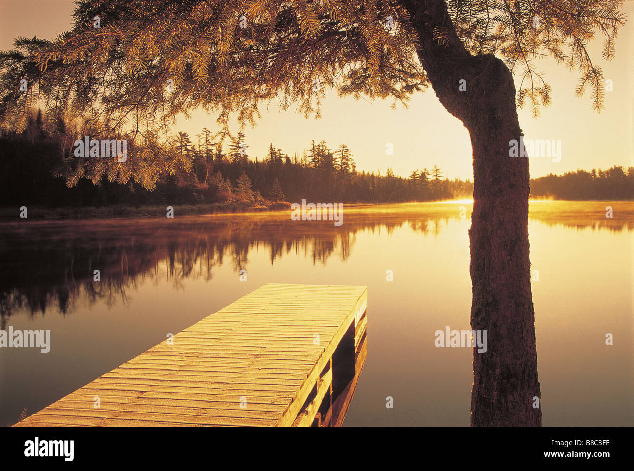 Lyons dock hi-res stock photography and images - Alamy