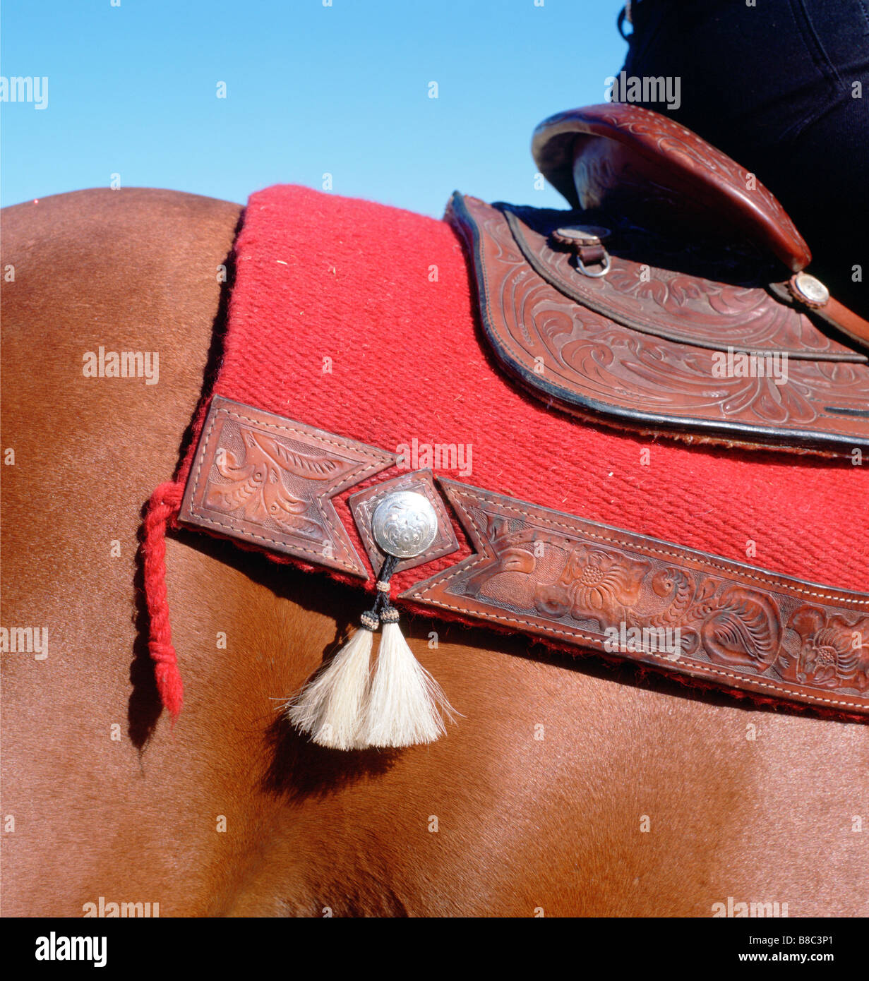 Close Up Horse Saddle Stock Photo - Alamy