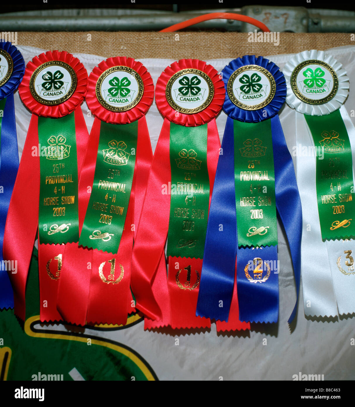 Cowgirl Award Ribbons Stock Photo - Alamy