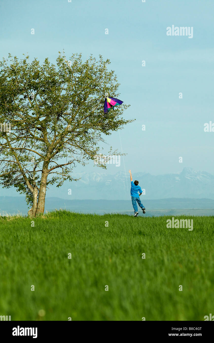 Boy Jumping Kite Stuck Tree, Calgary, Alberta Stock Photo - Alamy