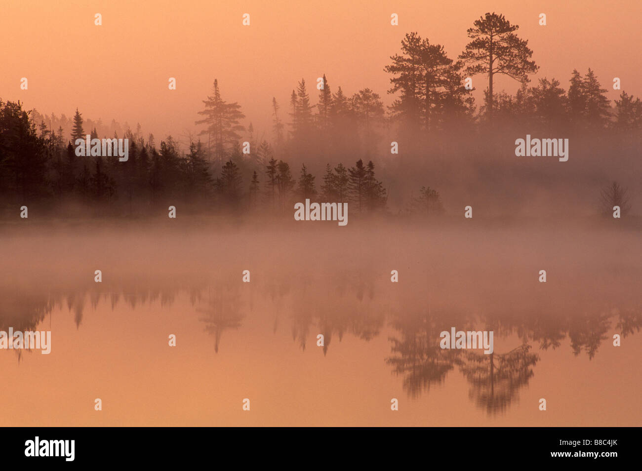 DAWN & mist Stock Photo - Alamy