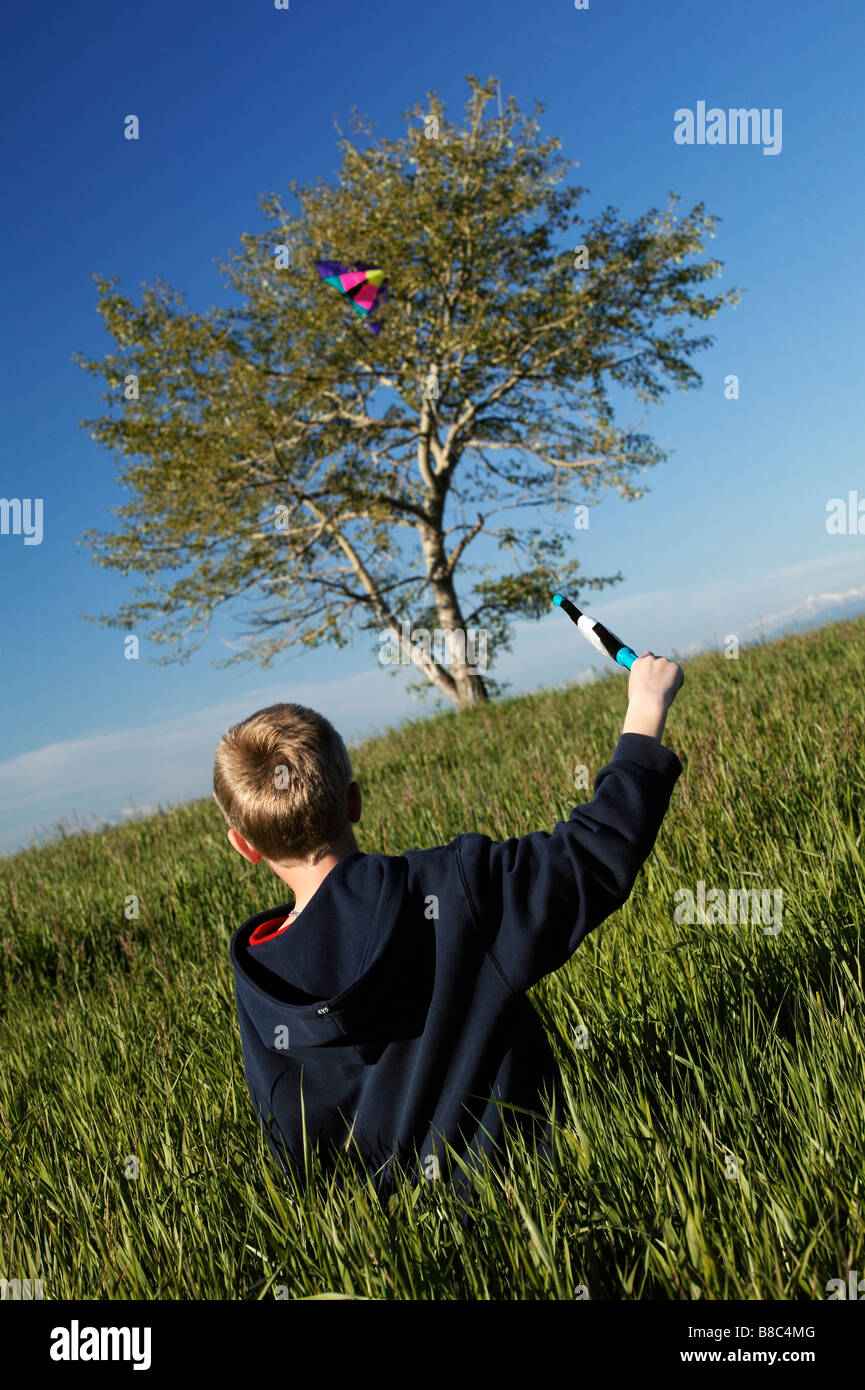 Boy Kite Stuck Tree, Calgary, Alberta Stock Photo - Alamy