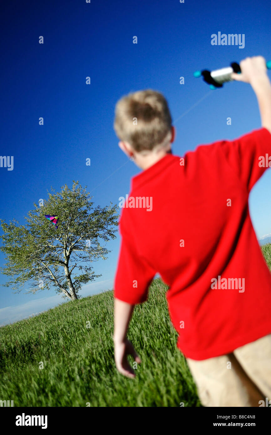 Boy Kite Stuck Tree, Calgary, Alberta Stock Photo - Alamy