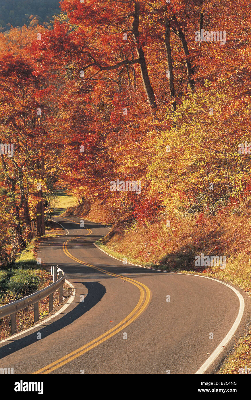FL5517, Ron Watts; Winding Paved Road Through Fall Foliage, West ...