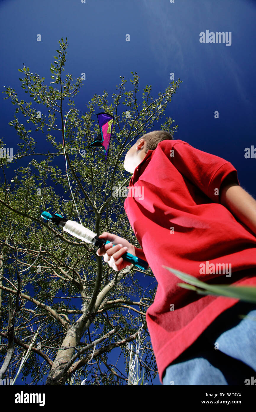 Boy Looking Up Kite Stuck Tree, Calgary, Alberta Stock Photo - Alamy