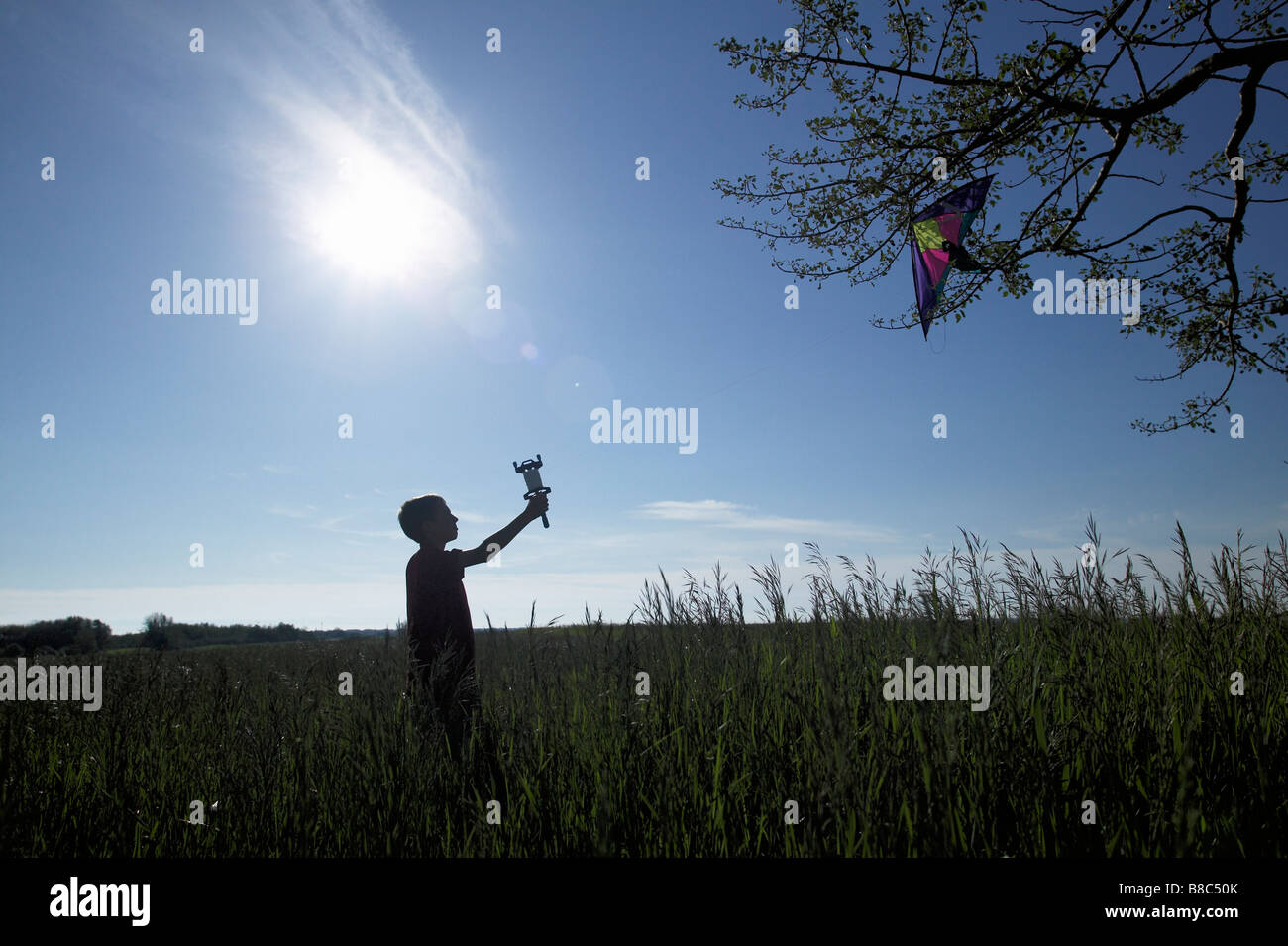 Boy Looking Up Kite Stuck Tree, Calgary, Alberta Stock Photo - Alamy