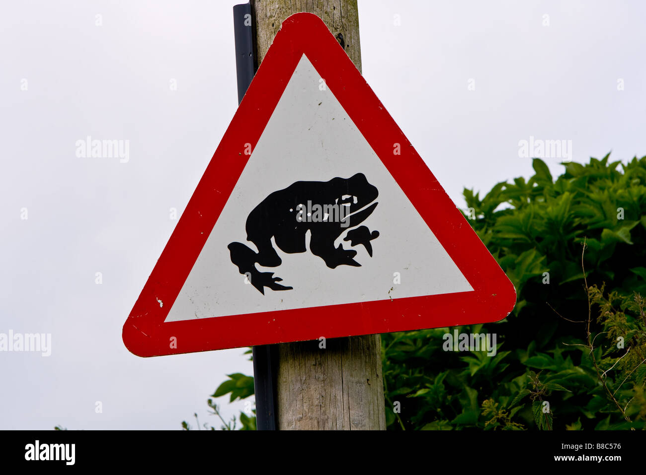 road sign warning of Frogs Stock Photo - Alamy
