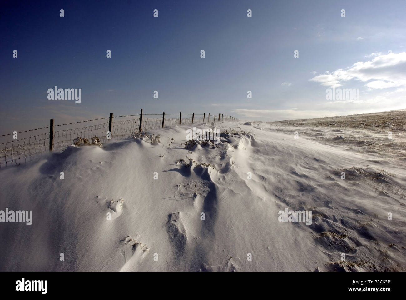 Blizzard arctic hi-res stock photography and images - Alamy