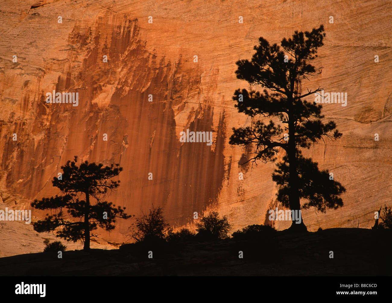 Crossbedding sandstone formation hi-res stock photography and images ...