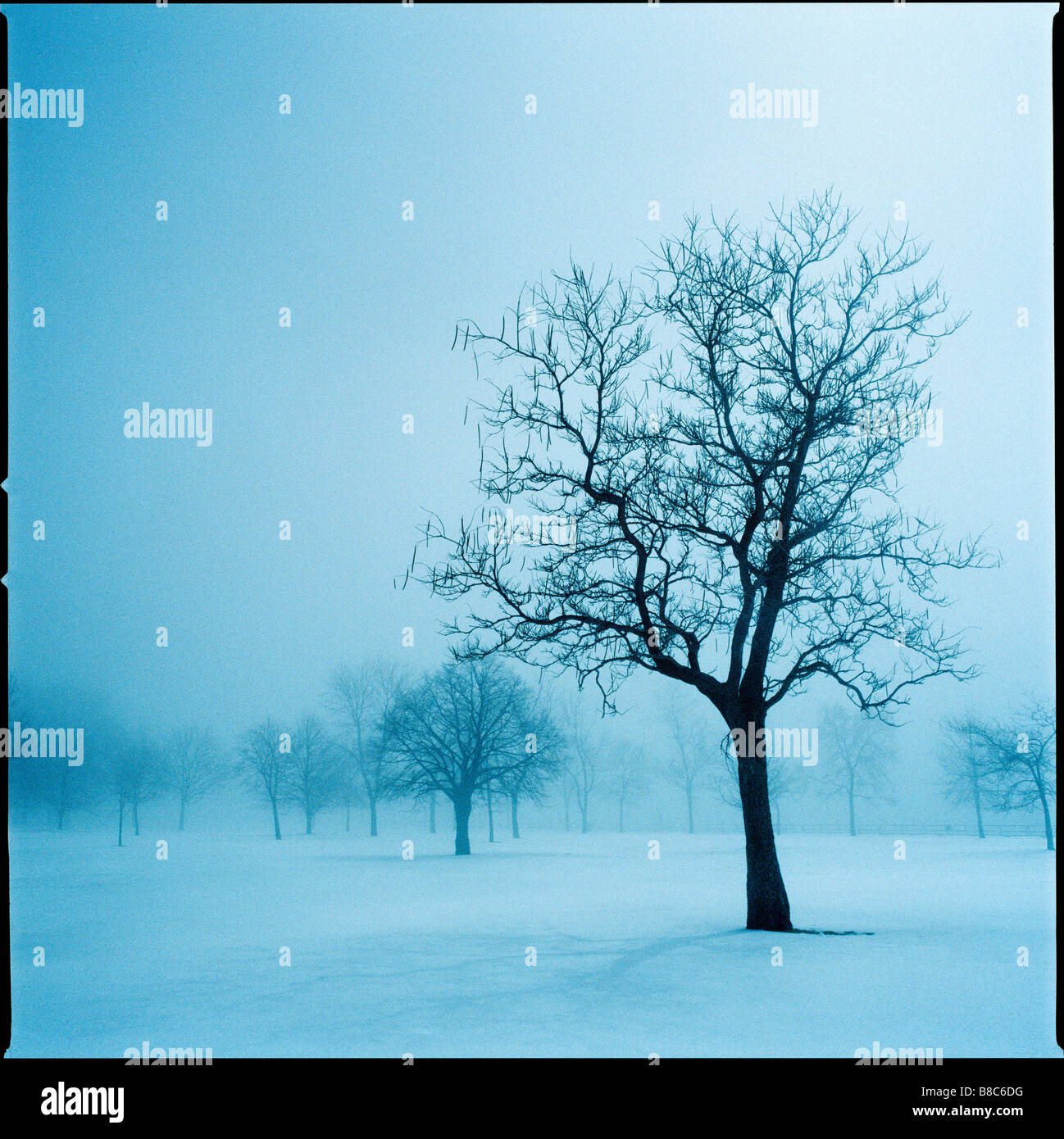 Fog i hi-res stock photography and images - Alamy