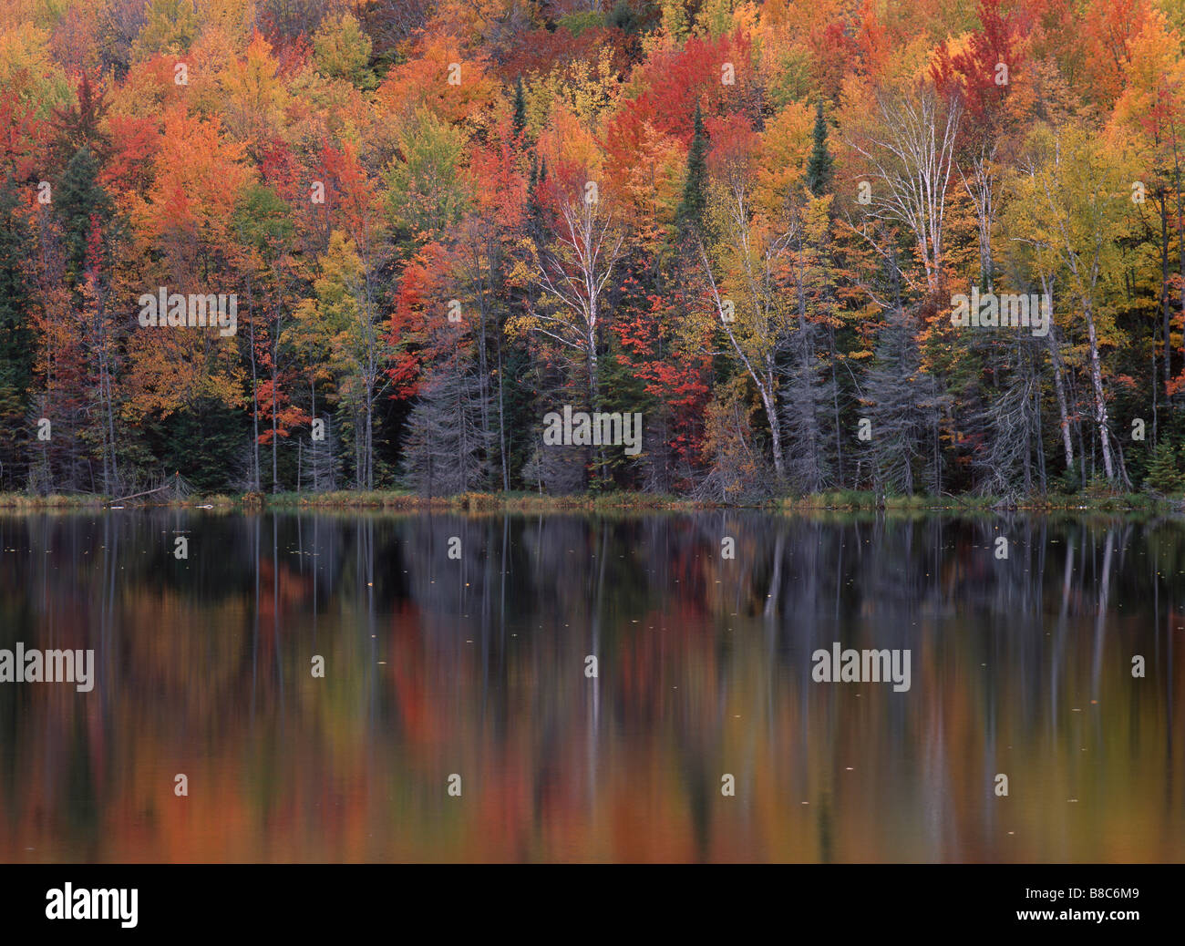 Hiawatha lake hi-res stock photography and images - Alamy