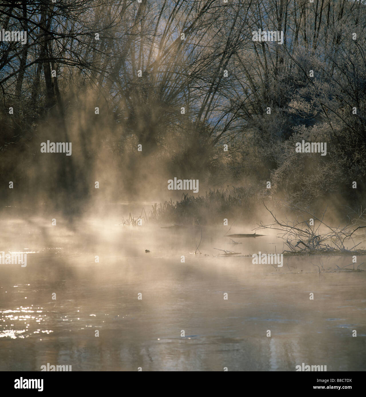 MIST OVER TIRINO RIVER Stock Photo - Alamy