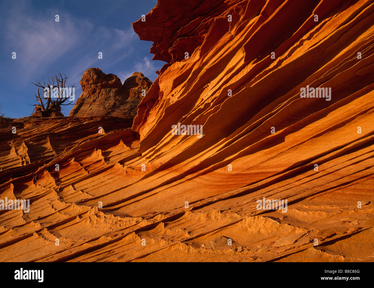 Paria canyons wilderness hi-res stock photography and images - Alamy