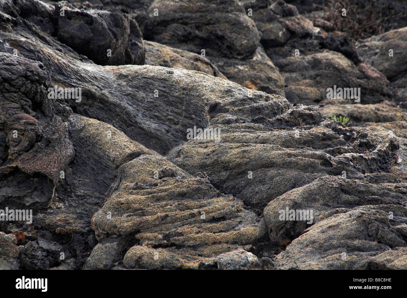 Lava tubes galapagos hi-res stock photography and images - Alamy