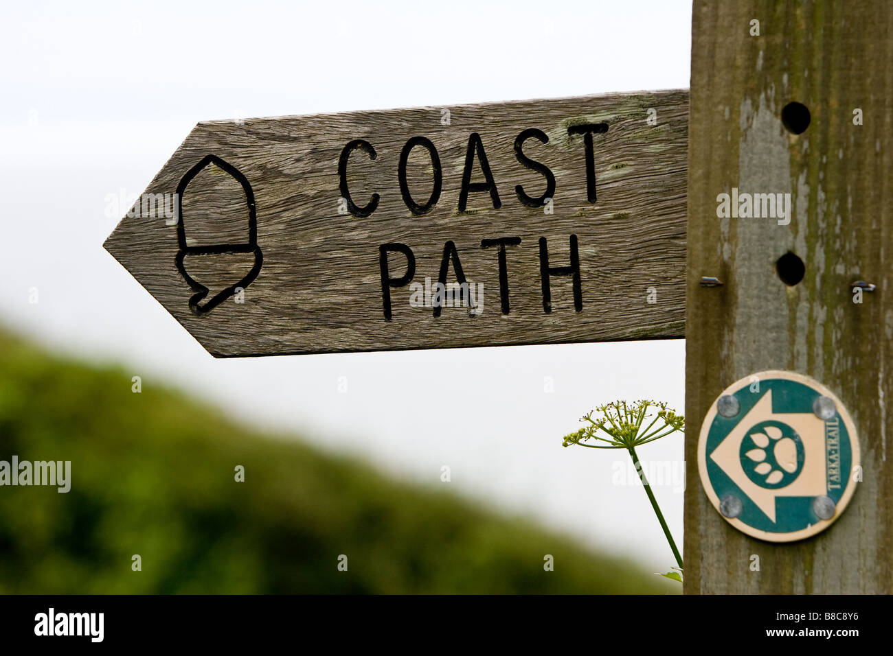Wooden coastal path sign hi-res stock photography and images - Alamy