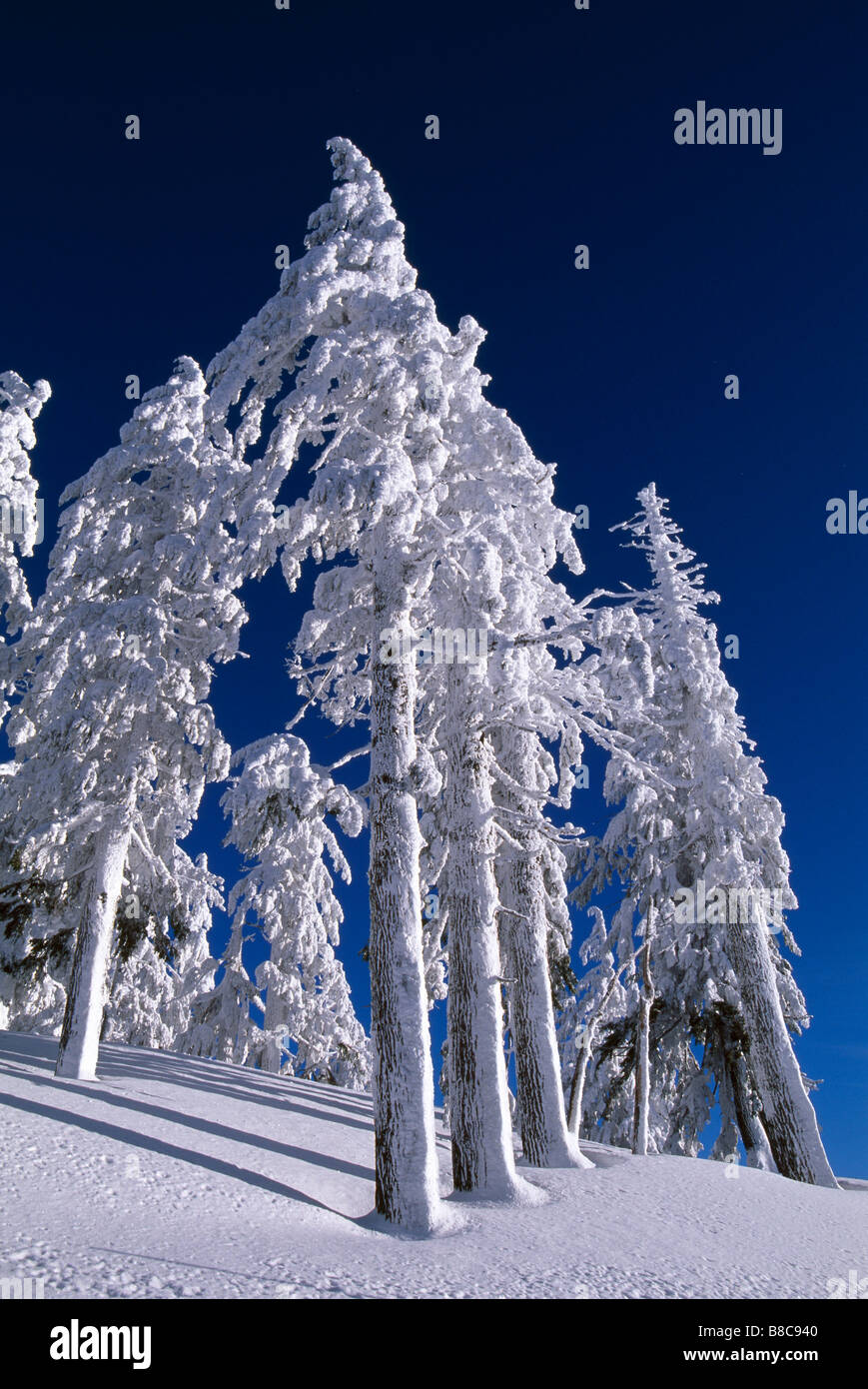 Frosted landscape hi-res stock photography and images - Alamy