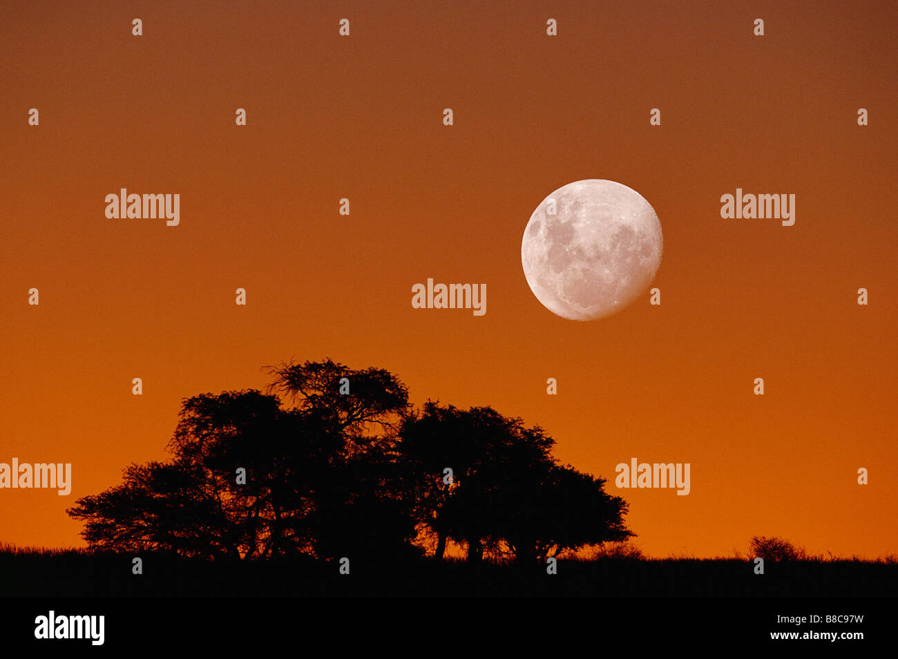 MOON almost full Stock Photo - Alamy