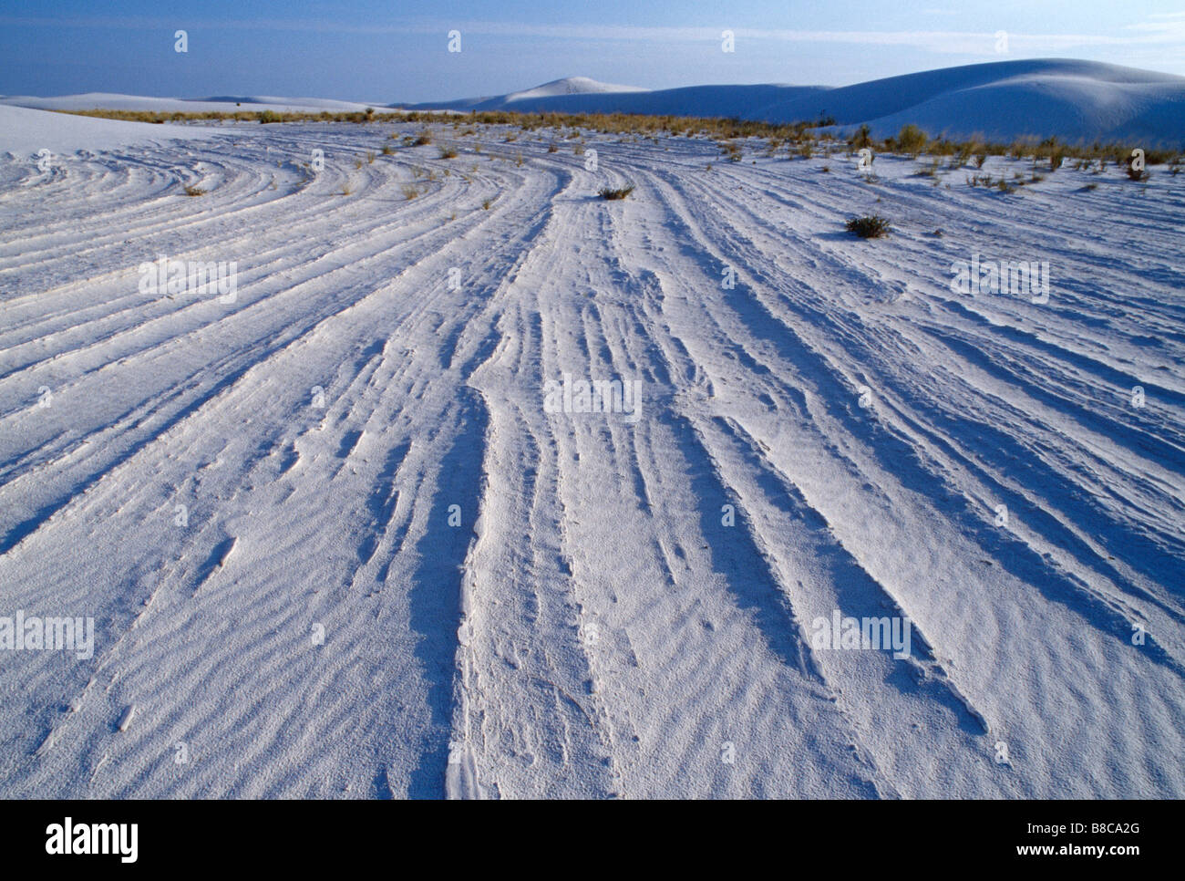 CURVED SAND RIDGES Stock Photo - Alamy