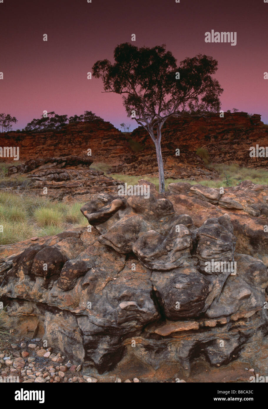Keep river national park australia hi-res stock photography and images ...