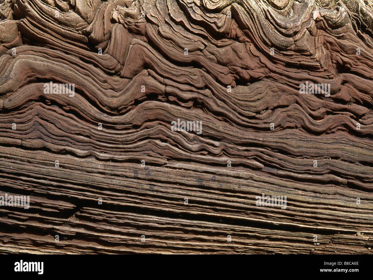 Carboniferous sedimentary strata hi-res stock photography and images ...