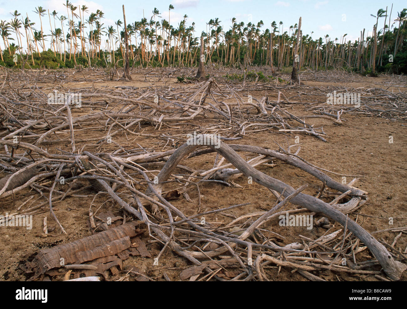 High damage hi-res stock photography and images - Alamy