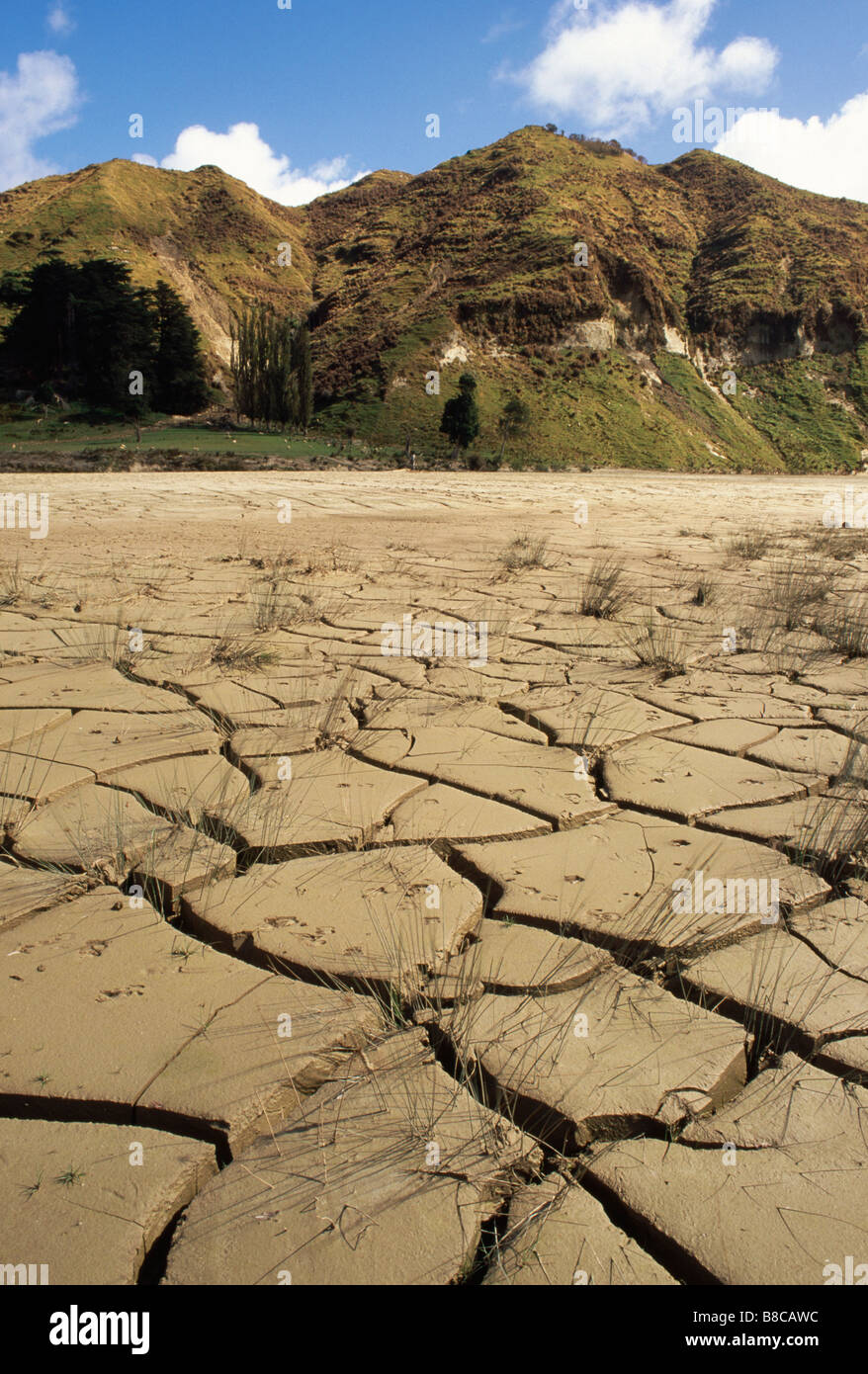 FLOOD DAMAGED PASTURE Stock Photo - Alamy