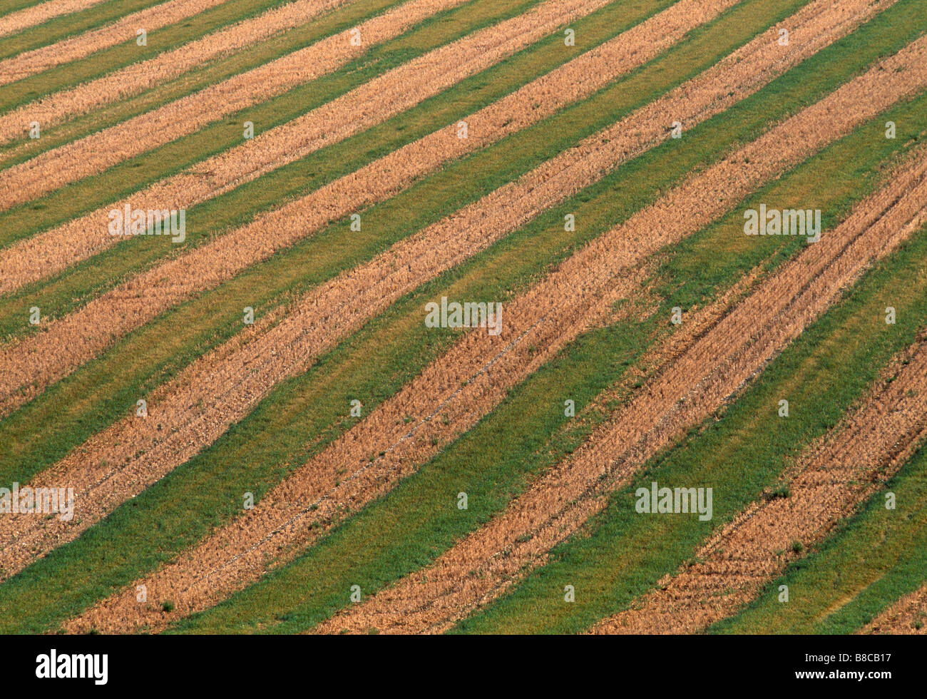 PATTERN IN ARABLE FIELD Stock Photo - Alamy