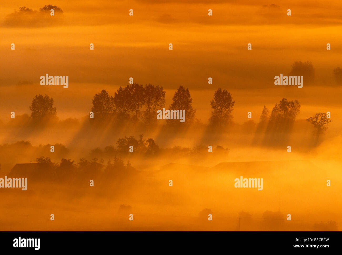 MIST over moors Stock Photo - Alamy