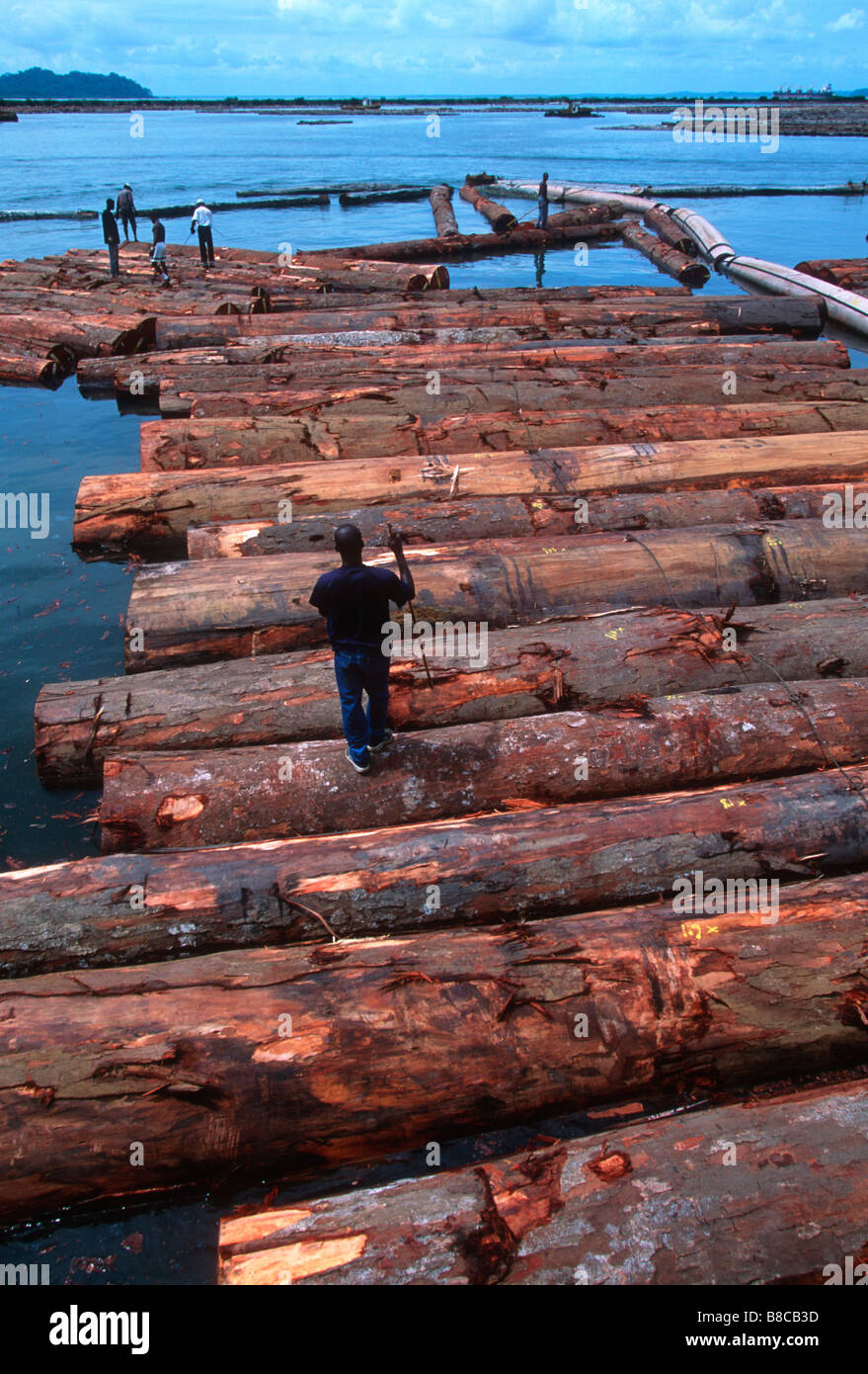 Exporting timber hi-res stock photography and images - Alamy