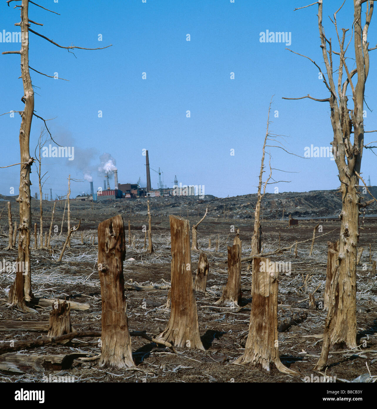 Effects of acid rain hi-res stock photography and images - Alamy