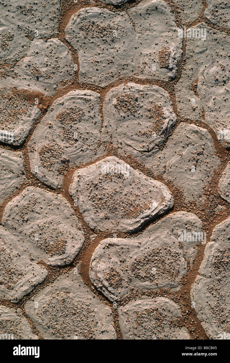 Cracked pan floor hi-res stock photography and images - Alamy