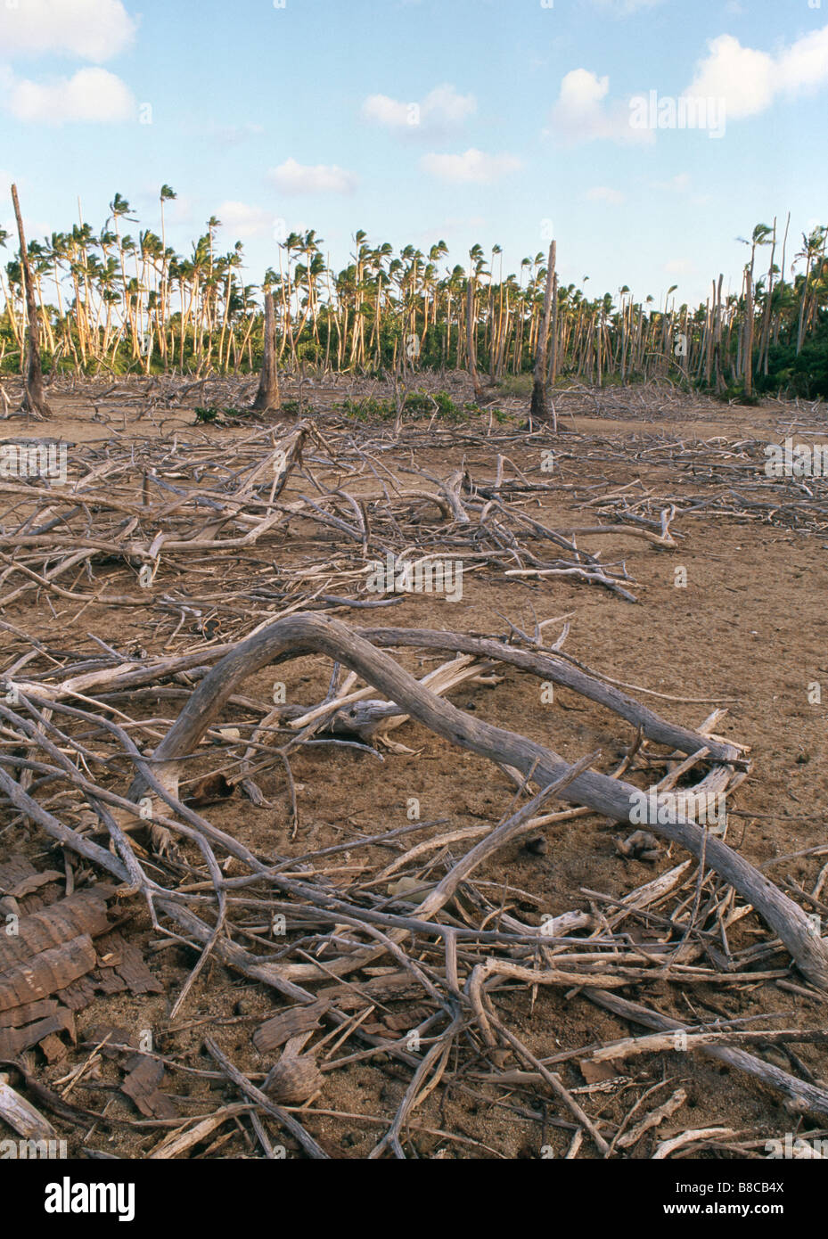 Tonga weather hi-res stock photography and images - Alamy