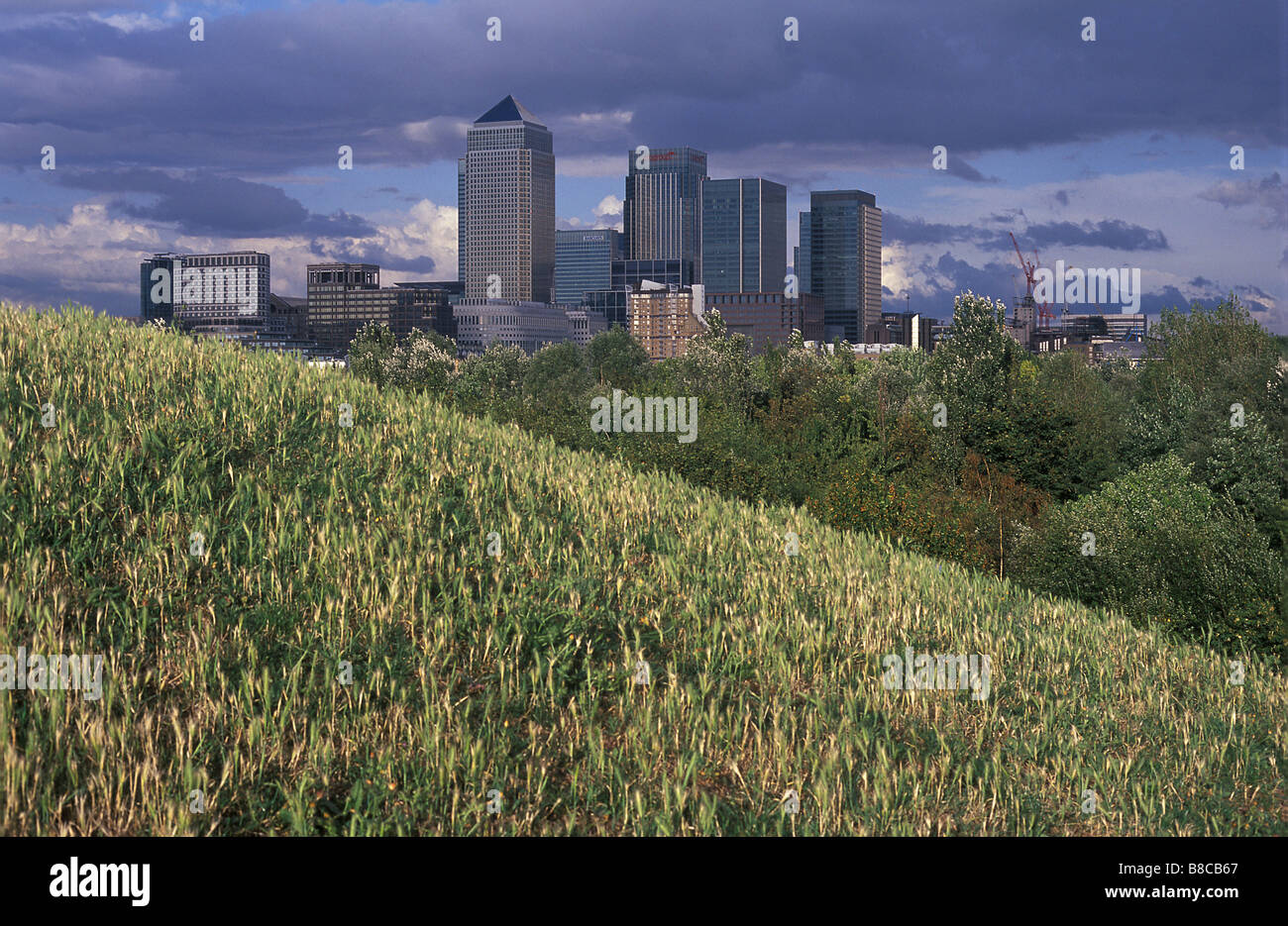 STAVE HILL ECO PARK Stock Photo - Alamy