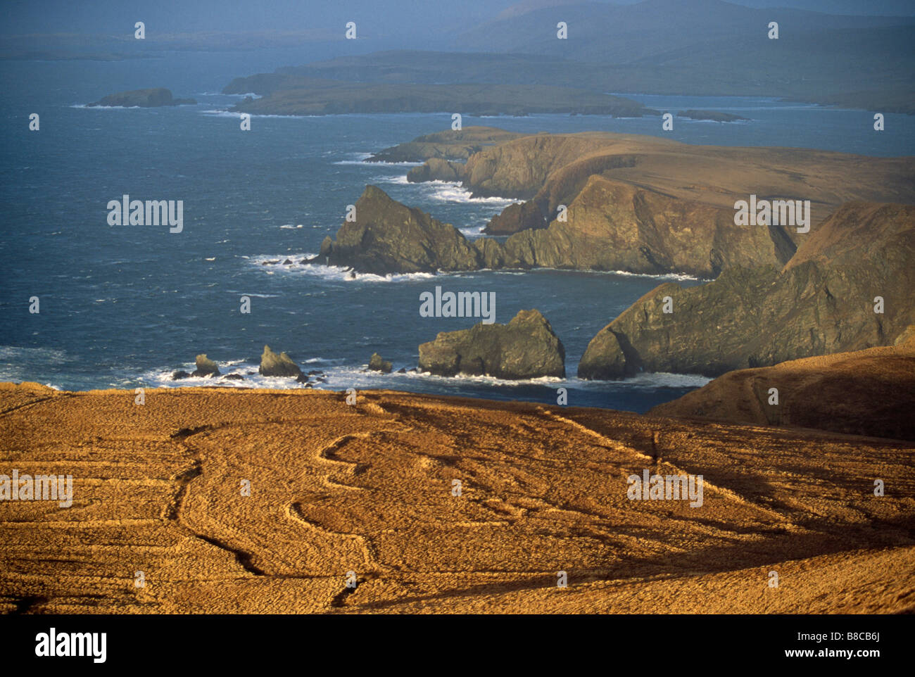 Peat extraction hi-res stock photography and images - Alamy