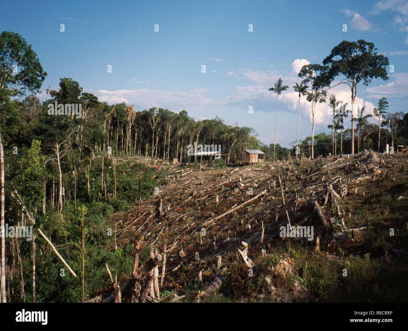 Rainforest deforestation hi-res stock photography and images - Alamy